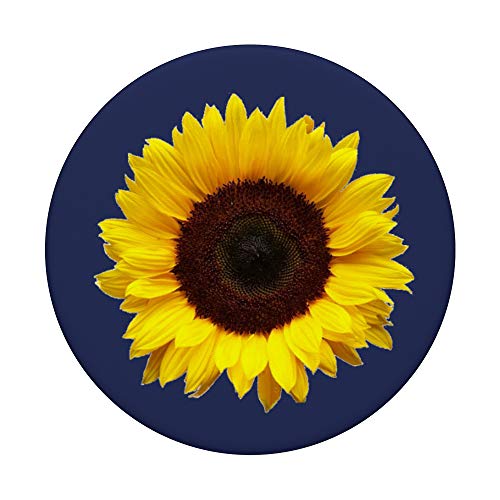 Beautiful yellow sunflower sun flower blooms funny gift PopSockets Swappable PopGrip