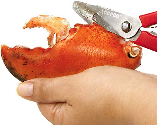 Norpro 6516 Ultimate Seafood Shears (Pack of 2)