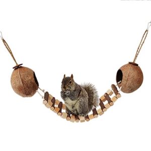 coconut bird nest with ladder for parrots parakeet conures lovebird cockatiel finch canary, small animals hideaway hut, coconut shell bird cage toy, natural coconut squirrel house hanging loop