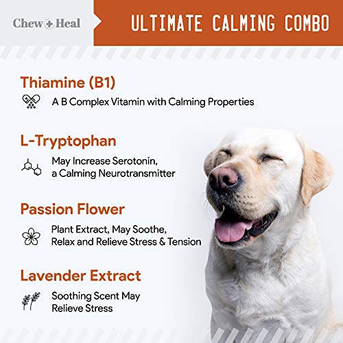 Chew + Heal Dog Calming Treats - 60 Soft Chews, Anxiety Supplement - Stress Relief Thiamine and L-Tryptophan for Travel, Storms, Fireworks - with Ginger and Melatonin - Made in The USA