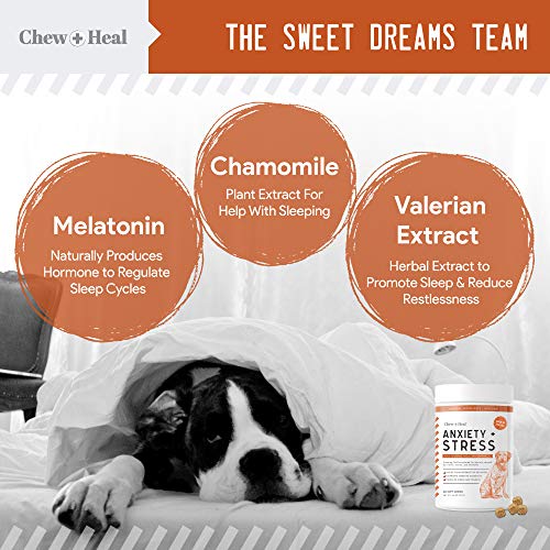 Chew + Heal Dog Calming Treats - 60 Soft Chews, Anxiety Supplement - Stress Relief Thiamine and L-Tryptophan for Travel, Storms, Fireworks - with Ginger and Melatonin - Made in The USA