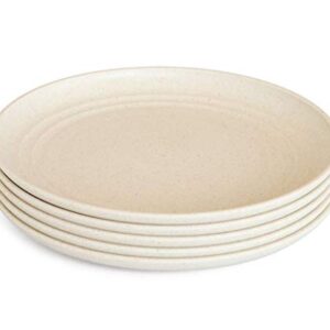 JUCOXO Small Plate Wheat Straw Plates - 5 Pack 5.9" Unbreakable Microwave Safe Plates, Reusable Plastic Plates for Snack Appetizer