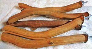 manzanita perches five pack 12" foot long