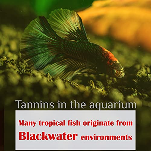 Premium Indian Almond Leave - Blackwater - Aquarium Decorations. Catappa Leaves Rich Tannin. Health Better, Vitality, Successful Breeding! for Betta Fish Tank & Shrimp. Pack 50g Size 6-9"(20-25Leaves)