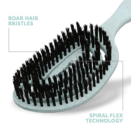 BioSilk for Dogs Eco-Friendly Boar Hair Bristle Brush in Mint Green | Easy to Hold Ergonomic Handle Dog Brush for Shedding | Best Pet Brush for Dog Grooming