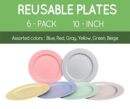 10 Inch Wheat Straw Flat Plastic Plates Set (6 Dinner Plates) - Dishwasher & Microwave Safe - Unbreakable Reusable Lightweight Eco Friendly & BPA Free Dinnerware - Dishes for Kids Toddlers & Adults