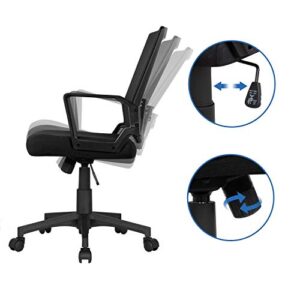 Topeakmart Ergonomic Mesh Office Chair, Executive Rolling Swivel Chair, Computer Chair with Lumbar Support Desk Task Chair for Women, Men(Black)