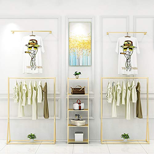 Floorstanding Wild Clothes Rail,Iron Environmental Protection Heavy Duty Clothes Rail,Simple, Solid/Golden / 120cm