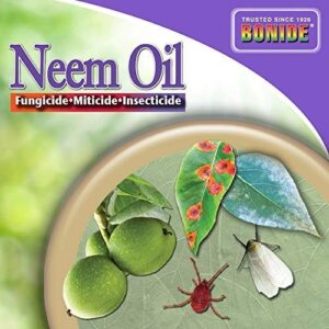 Bonide (BND022 - Ready to Use Neem Oil, Insect Pesticide for Organic Gardening (32 oz.) - 2 Pack