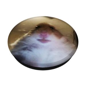 Staring Hamster PopSockets PopGrip: Swappable Grip for Phones & Tablets