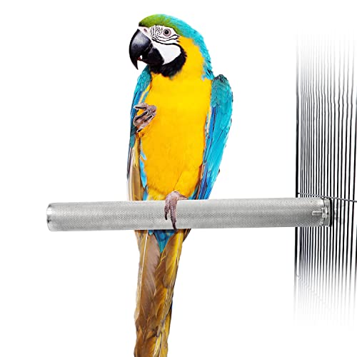 Wontee Bird Perch Stand Stainless Steel Parrot Cage Perch Accessories for Parakeets Cockatiels Conures African Greys Macaws Amazon Parrots (XL (11.8"x1.3")