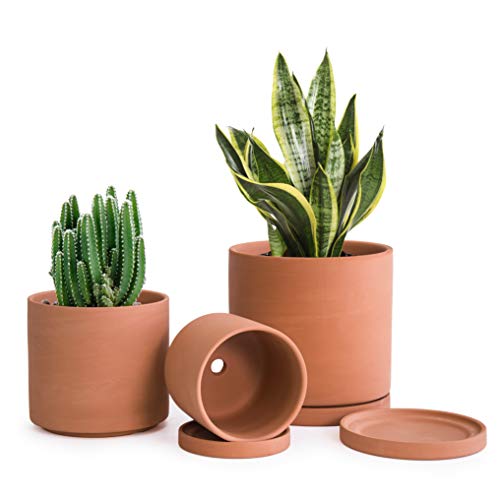 D'vine Dev Terracotta Pots for Plants, 4.2 Inch 5.3 Inch 6.5 Inch, Succulent Planter Pot with Drainage and Saucer, 40-A-T-1