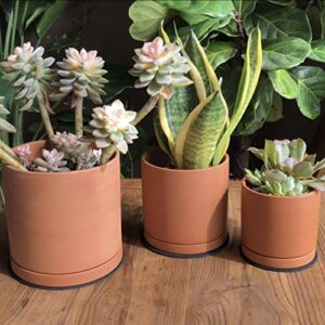 D'vine Dev Terracotta Pots for Plants, 4.2 Inch 5.3 Inch 6.5 Inch, Succulent Planter Pot with Drainage and Saucer, 40-A-T-1