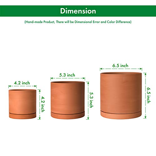 D'vine Dev Terracotta Pots for Plants, 4.2 Inch 5.3 Inch 6.5 Inch, Succulent Planter Pot with Drainage and Saucer, 40-A-T-1