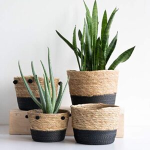 Foreside Home and Garden Natural Set of 2 Small Black Cattail Decorative Storage Baskets