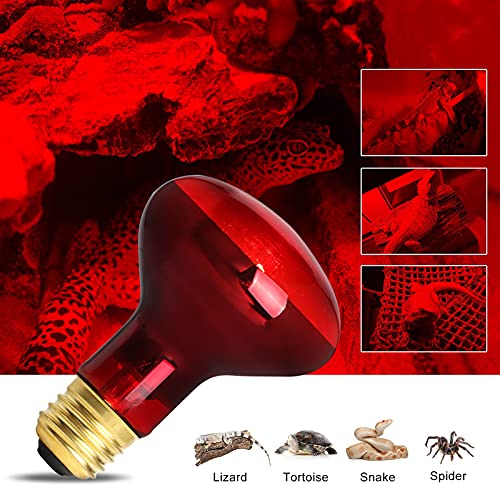 AOMRYOM 75W Infrared Basking Spot Heat Lamp Bulb Red Light Heat Bulbs for Pet Lizards Bearded Dragons Chameleons Snakes Reptiles & Amphibians - 2 Pack