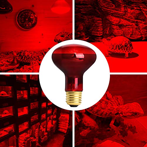 AOMRYOM 75W Infrared Basking Spot Heat Lamp Bulb Red Light Heat Bulbs for Pet Lizards Bearded Dragons Chameleons Snakes Reptiles & Amphibians - 2 Pack