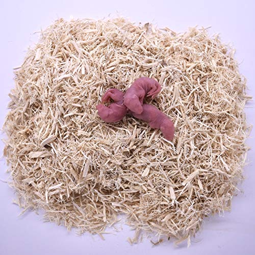 MiceDirect: Frozen Mice Combo Pack of 100 Small Pinkies & Pinkies Feeder Mice–50 Small Pinkies & 50 Pinkies -Food for Corn Snakes, Ball Pythons, Lizards & Pet Reptiles-Freshest Snake Feed Supplies