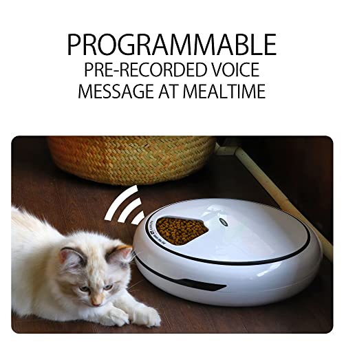 Lentek 5 Meal Automatic Pet Feeder with Voice Message, White, Wet and Dry Food Dispenser for Cat or Dog, 5 oz Compartments for Portion Control, 25 oz Total Capacity