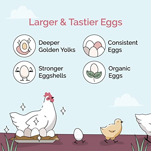 Mile Four | Oyster Shell for Strong Chicken Eggshells | 100% US Mined Limestone | Organic, Natural Crushed Oyster Shell Limestone for a Calcium Boost | Strong Eggshells & Healthier Chickens | 50 lbs.