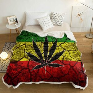 Rasta Flag Sherpa Flannel Throw Blankets Thick Reversible Plush Fleece Blanket for Bed Couch Sofa Decor Leaf on Crack Soil Texture,Ultra Soft Comfy Warm Fuzzy TV Blanket 40x50Inch