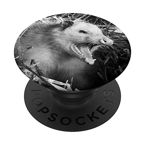 Opossum Possum Animal Happy Screaming Cute Wild Animal PopSockets PopGrip: Swappable Grip for Phones & Tablets