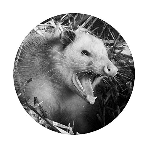 Opossum Possum Animal Happy Screaming Cute Wild Animal PopSockets PopGrip: Swappable Grip for Phones & Tablets