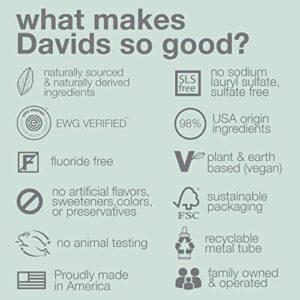 Davids Natural Toothpaste For Teeth Whitening, Spearmint, Antiplaque, Flouride Free, SLS Free, EWG Verified, Toothpaste Squeezer Included, Recycable Metal Tube, 5.25oz