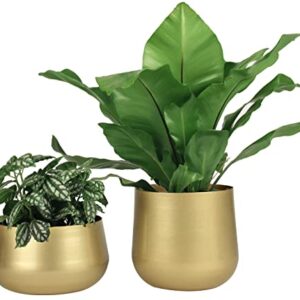 Vixdonos Gold Metal Flower Pots Brass-Toned Garden Planters, 7.1/6.3 Inch Indoor Round Succulent Containers, Pack 2 Cactus Plant Pots with Drainage Hole