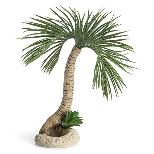 biOrb Seychelles Palm Tree Sculpture, Large, Natural (72680)