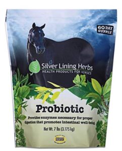 silver lining herbs horse probiotic - micro encapsulated probiotics for equine digestive support and a healthy gut - natural source of beneficial bacteria and enzymes - 7 lb bag