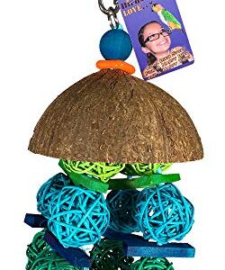 Birds LOVE Coconut Shell with Vineballs for Small to Medium Birds, Fun Foraging Hanging Bird Cage Toy, African Grey, Caique, Small Macaw, Amazons