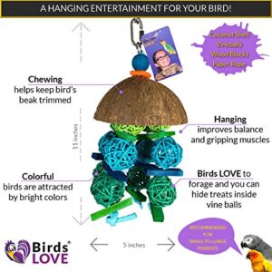 Birds LOVE Coconut Shell with Vineballs for Small to Medium Birds, Fun Foraging Hanging Bird Cage Toy, African Grey, Caique, Small Macaw, Amazons