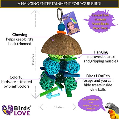 Birds LOVE Coconut Shell with Vineballs for Small to Medium Birds, Fun Foraging Hanging Bird Cage Toy, African Grey, Caique, Small Macaw, Amazons