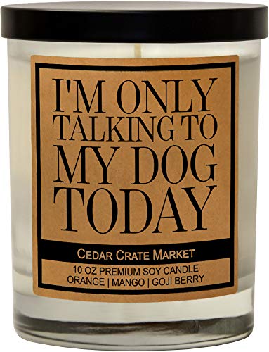 Funny Dog Candles Gifts for Women, Men, Dog Lovers, Pet Candle for Home, House, Dog Mom Gifts, Pet Mom, Fur Mamas, Dog Dads, Foster, Rescue, Adoption Pet Families (I'm Only Talking to My Dog Today)