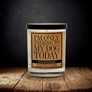 Funny Dog Candles Gifts for Women, Men, Dog Lovers, Pet Candle for Home, House, Dog Mom Gifts, Pet Mom, Fur Mamas, Dog Dads, Foster, Rescue, Adoption Pet Families (I'm Only Talking to My Dog Today)