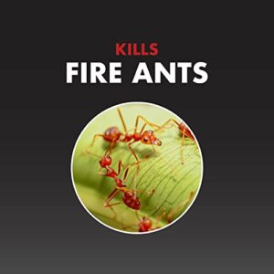 Spectracide One Shot Fire Ant Killer, Fire Ant Bait, Controls Fire Ants for 3 Months, 1.5 lb