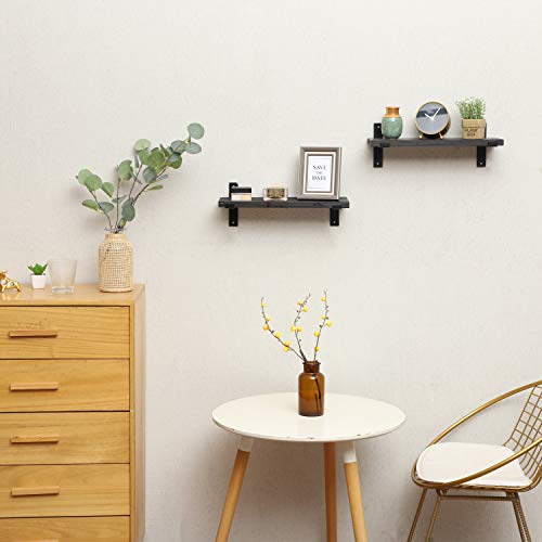 PENGKE Floating Wall Shelves Set of 2,Wall Mounted Floating Shelves Ledge 16 Inch Long, Picture Shelving Ledge with Storage, Modern Design for Home Decor