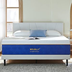 Molblly Queen Mattress, 10 Inch Cooling-Gel Memory Foam Mattress Bed in a Box,Cool Queen Bed Supportive & Pressure Relief with Breathable Soft Fabric Cover,Premium