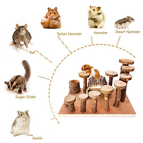 Wooden Hamster Platform Toy Chinchilla Activity Playground Stand Ladder Guinea Pigs Hideout Set Bridge Ramps Chew Toys for Mouse Dwarf Hamster Gerbil Rat Sugar Glider Syrian Hamster Small Animals