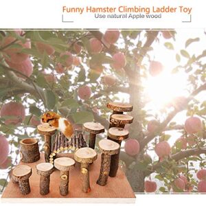 Wooden Hamster Platform Toy Chinchilla Activity Playground Stand Ladder Guinea Pigs Hideout Set Bridge Ramps Chew Toys for Mouse Dwarf Hamster Gerbil Rat Sugar Glider Syrian Hamster Small Animals