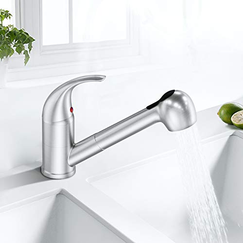 LEPO Single Lever Pull Out Kitchen Sink Faucets, Single Handle Low Arch Stainless Steel Brushed Nickel Rv Kitchen Faucet with Pull Down Sprayer, Bar Utility Sink Faucets