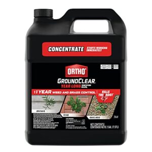 ortho groundclear year long vegetation killer1 - concentrate, visible results in 3 hours, kills weeds and grasses to the root when used as directed, up to 1 year of weed and grass control, 2 gal.