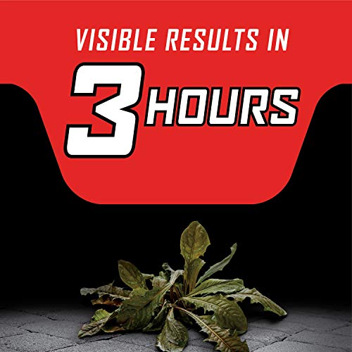 Ortho GroundClear Year Long Vegetation Killer1 - Concentrate, Visible Results in 3 Hours, Kills Weeds and Grasses to the Root When Used as Directed, Up to 1 Year of Weed and Grass Control, 2 gal.