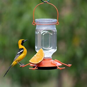 Perky-Pet 9113-2 Top-Fill Glass Oriole Feeder – 22 Oz, Orange