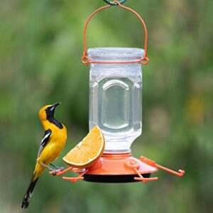 Perky-Pet 9113-2 Top-Fill Glass Oriole Feeder – 22 Oz, Orange