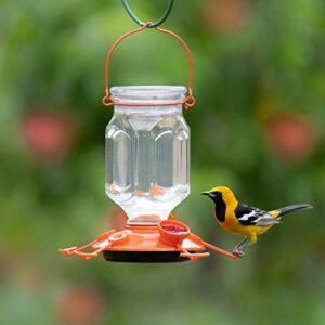 Perky-Pet 9113-2 Top-Fill Glass Oriole Feeder – 22 Oz, Orange