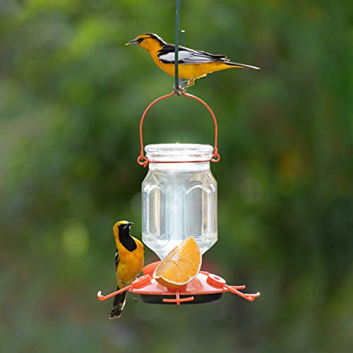 Perky-Pet 9113-2 Top-Fill Glass Oriole Feeder – 22 Oz, Orange