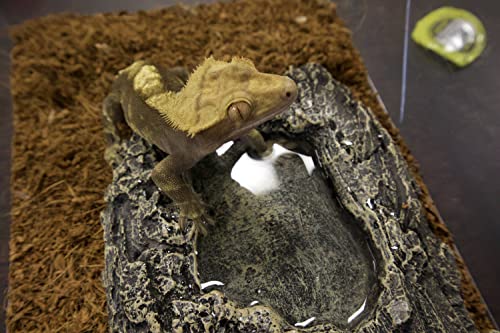 Komodo Habitat Rock Bowl Small |Natural Looking Decorative Fod & Water Dish | Ideal for Short Legged Species |