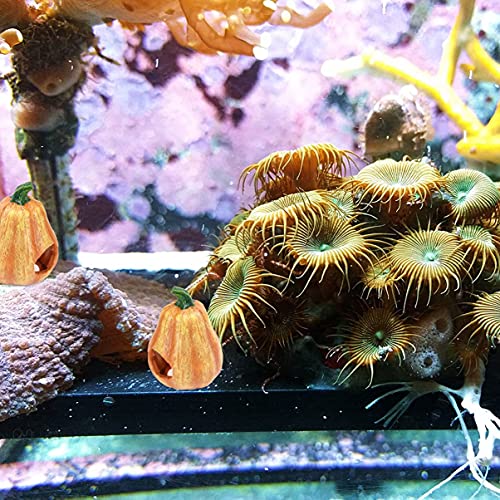 Balacoo Aquarium Resin Ornament Pumpkin Design Fish Tank Hide Hut Underwater Landscape Decorations Hideaway for Betta, Small Lizards, Turtles, Reptiles, Amphibians (Thin Pumpkin)